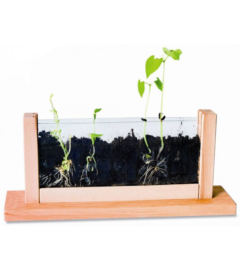 Montessorivivo-europe.com